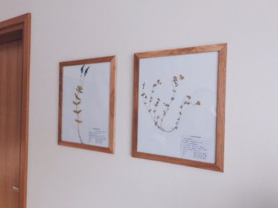DIY Wooden Plant Press : 8 Steps (with Pictures) - Instructables