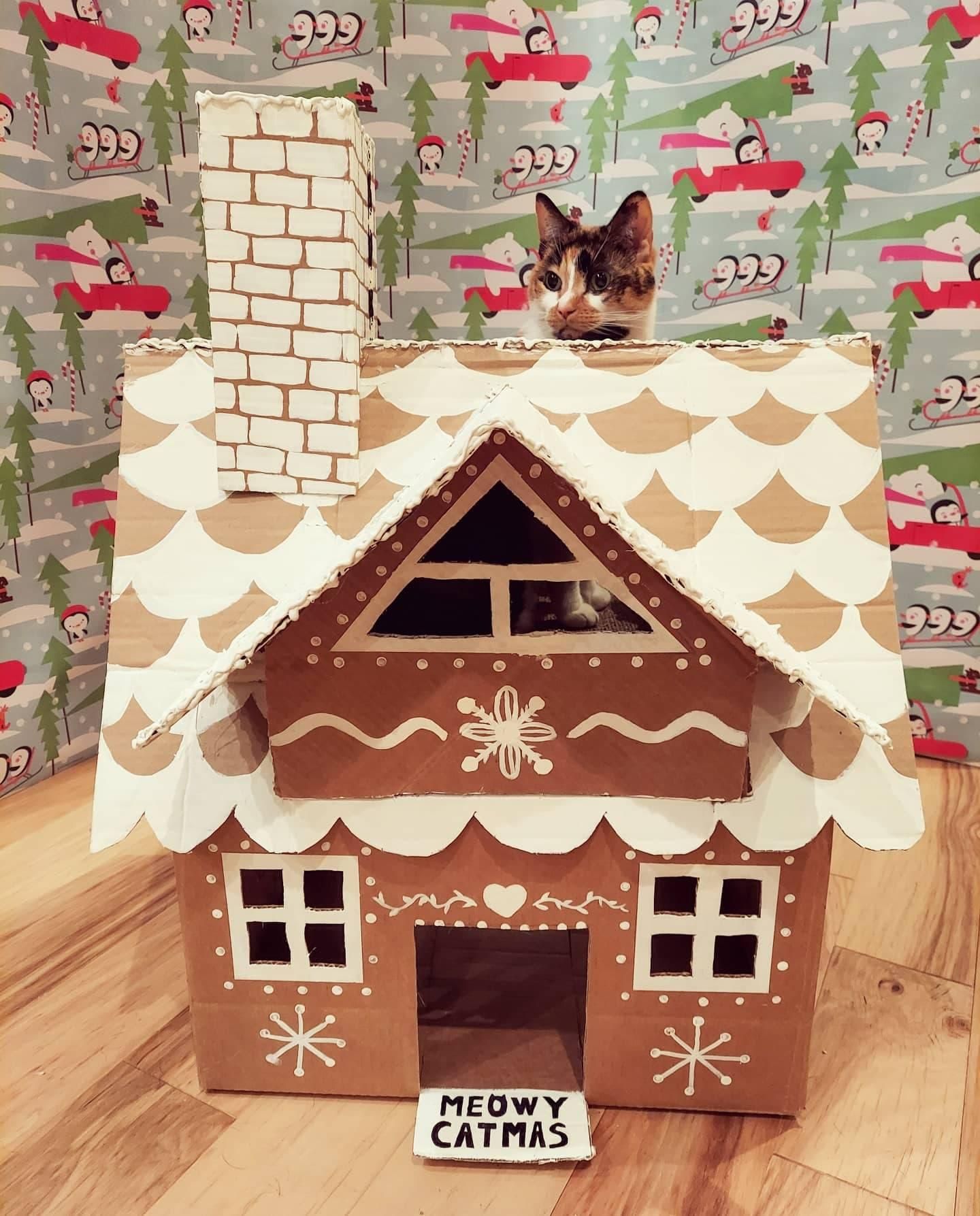 Cardboard Gingerbread Cat House : 12 Steps (with Pictures) - Instructables