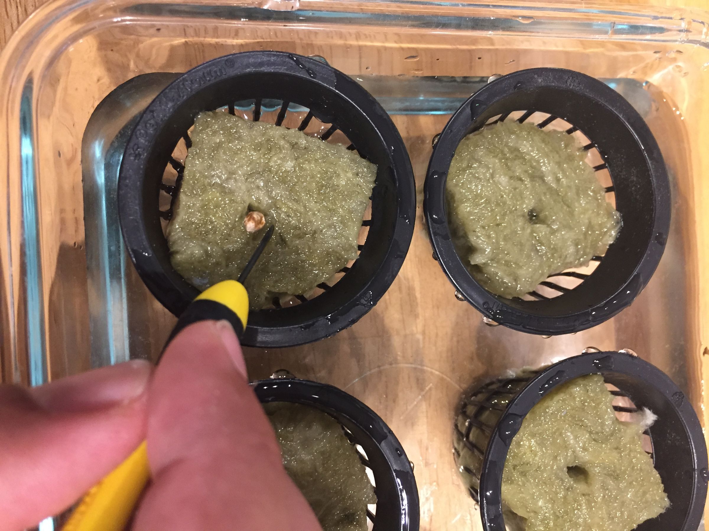 3D Printed Modular Hydroponic Garden : 7 Steps (with Pictures ...
