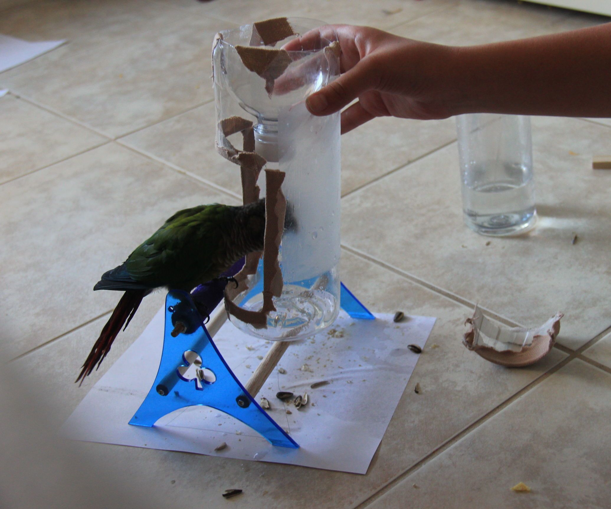 Diy Water Bottle Bird Bath : 7 Steps - Instructables