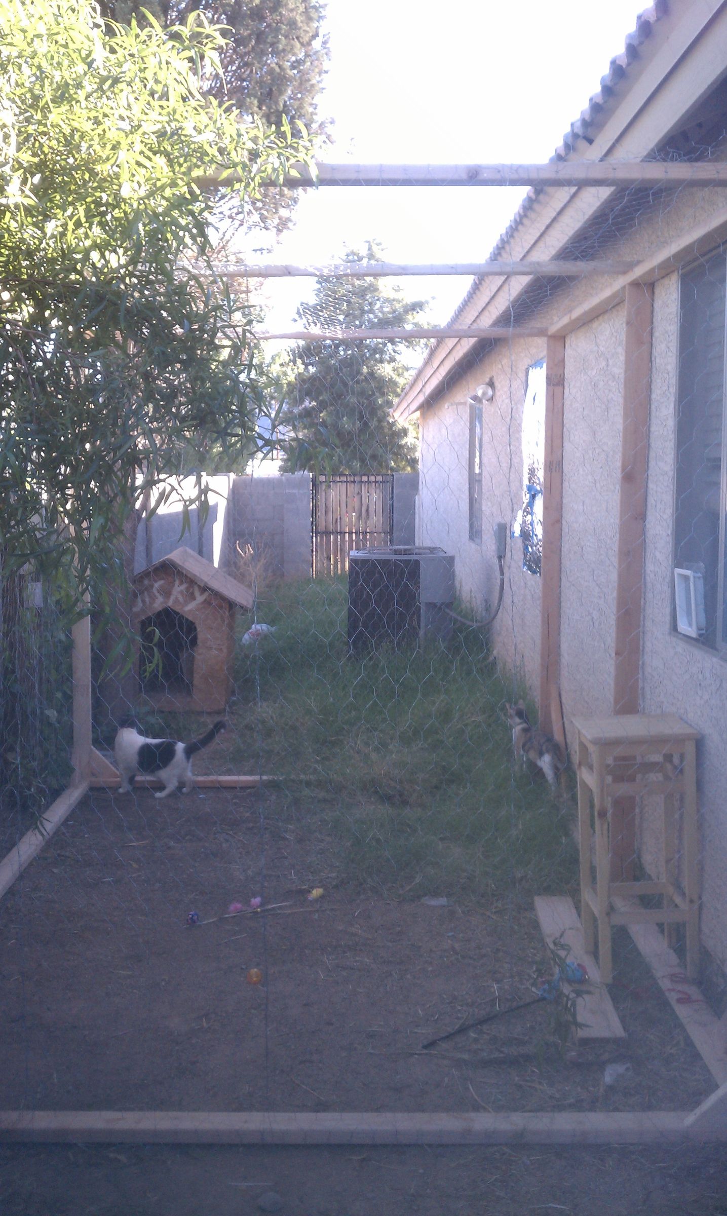 DIY Custom Fit Cat Run : 10 Steps (with Pictures) - Instructables