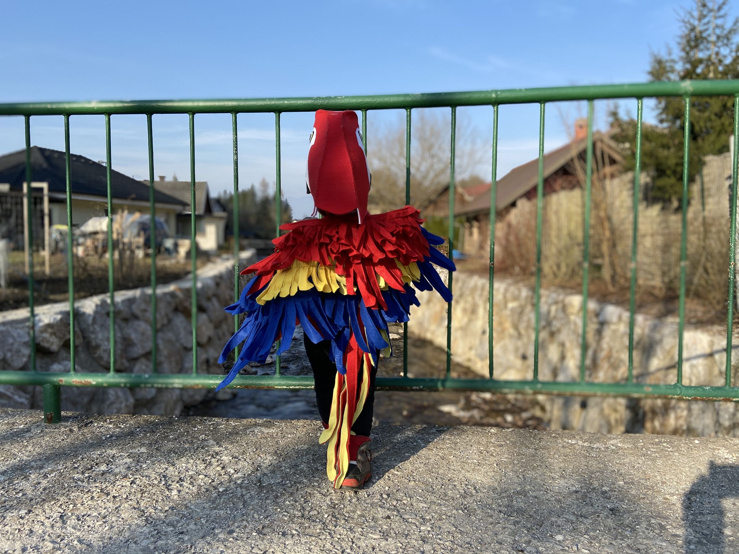 Parrot Mask and Wings : 11 Steps (with Pictures) - Instructables