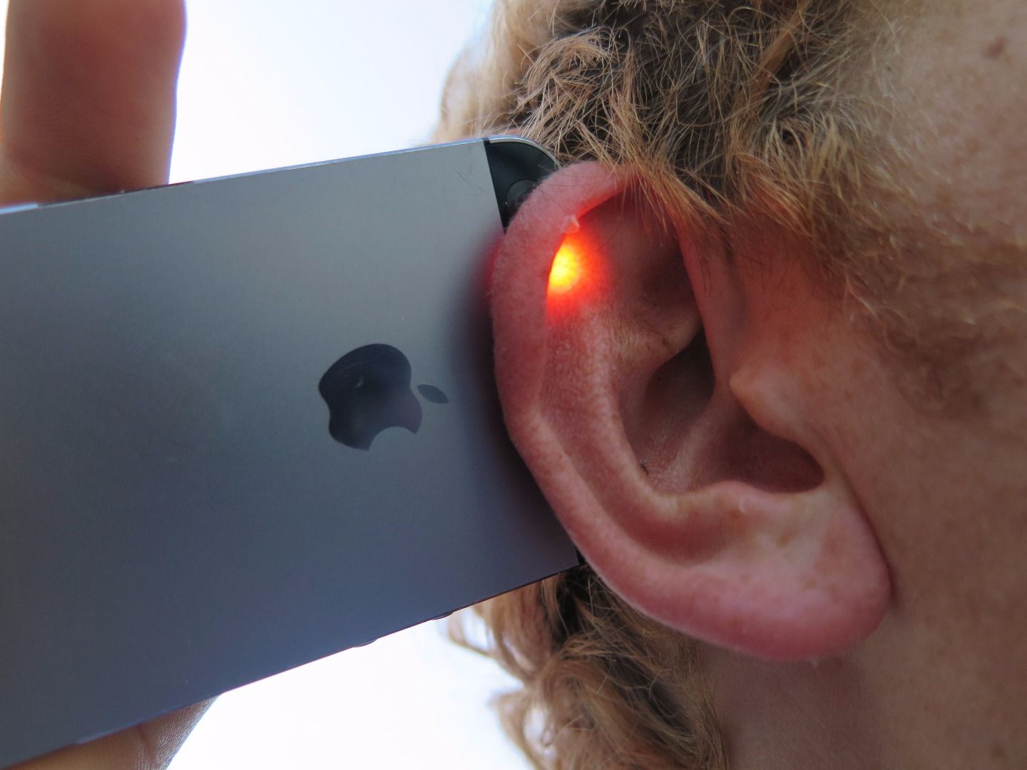 Heart Dissection : 8 Steps (with Pictures) - Instructables