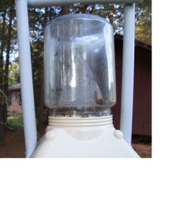 Deer Fly Traps : 8 Steps (with Pictures) - Instructables