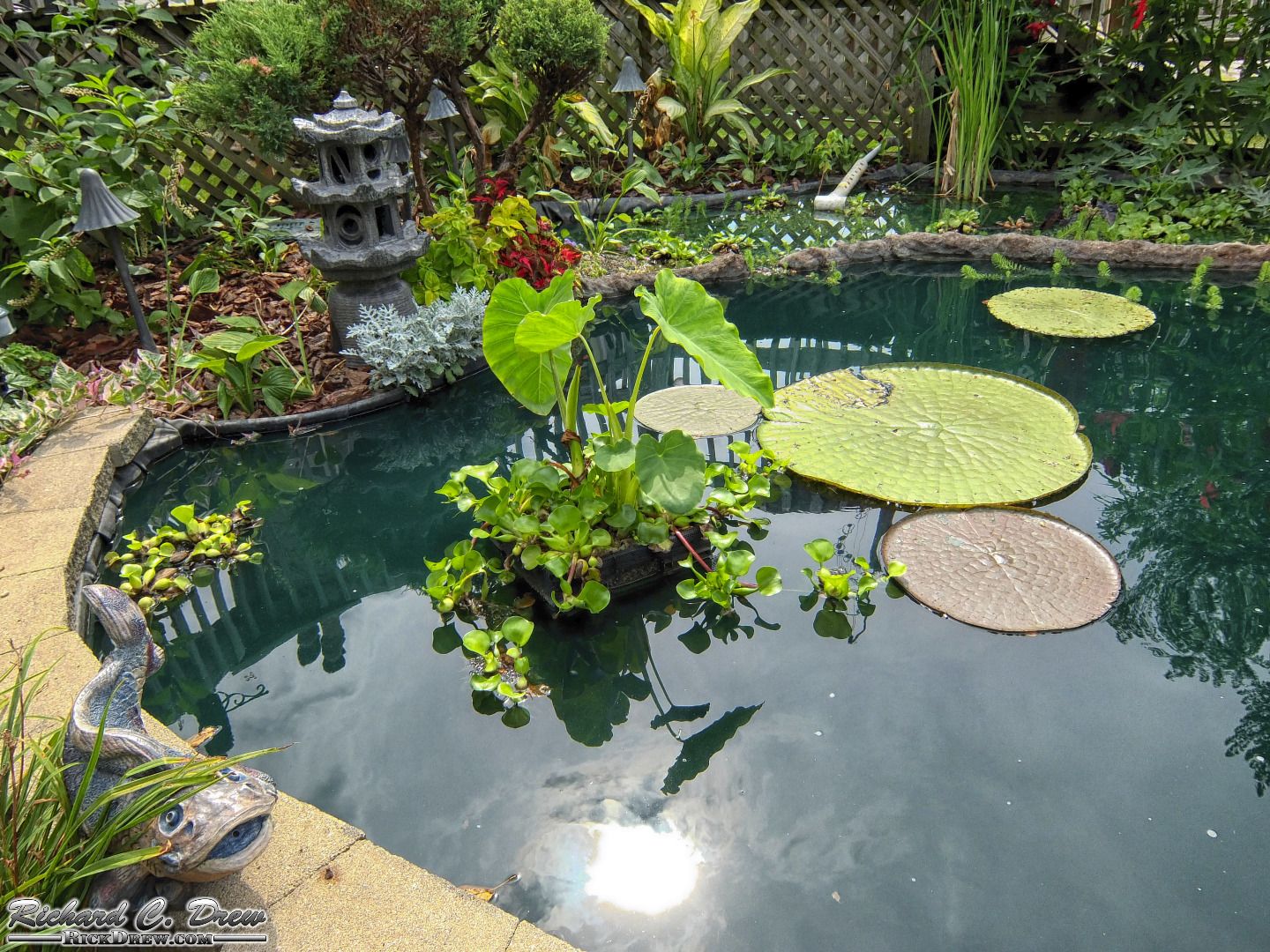 Pond Planter From a Milk Crate : 4 Steps (with Pictures) - Instructables