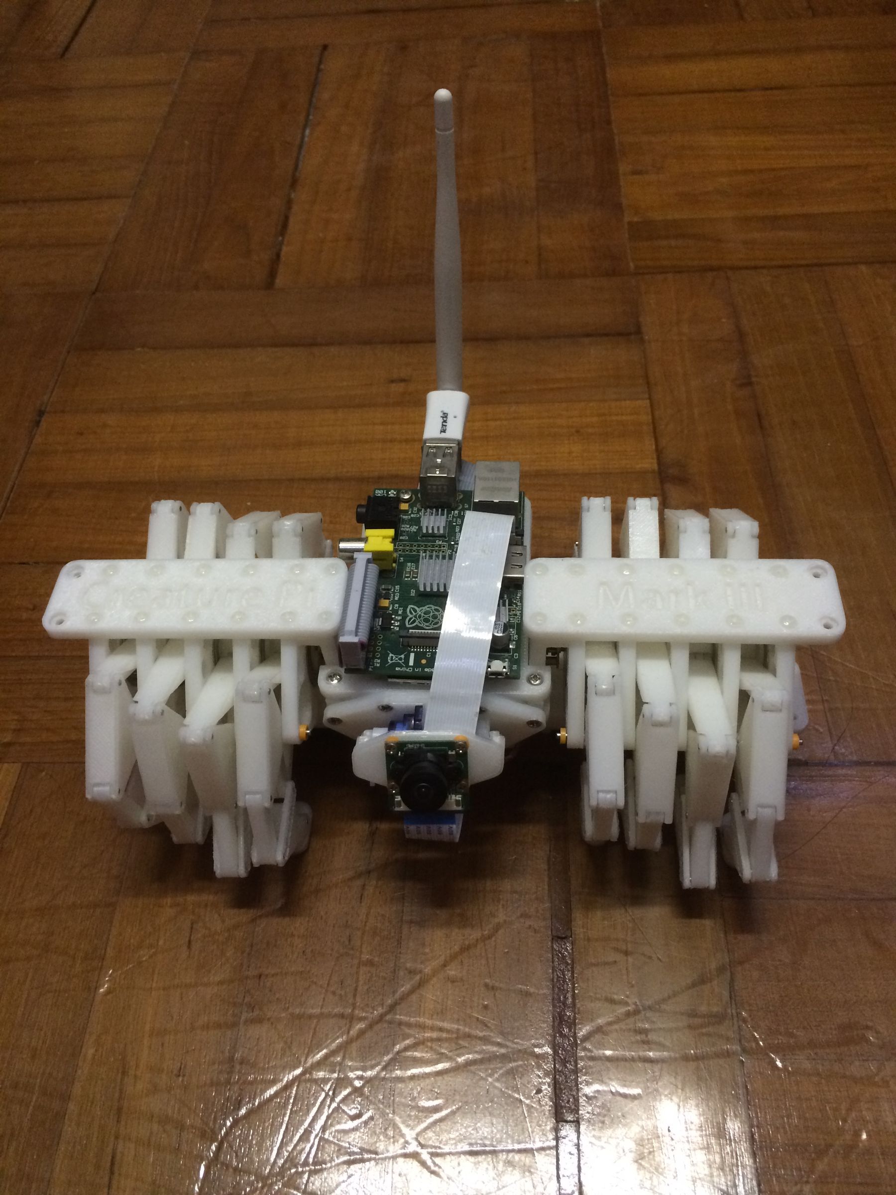 Robot Cat : 20 Steps (with Pictures) - Instructables