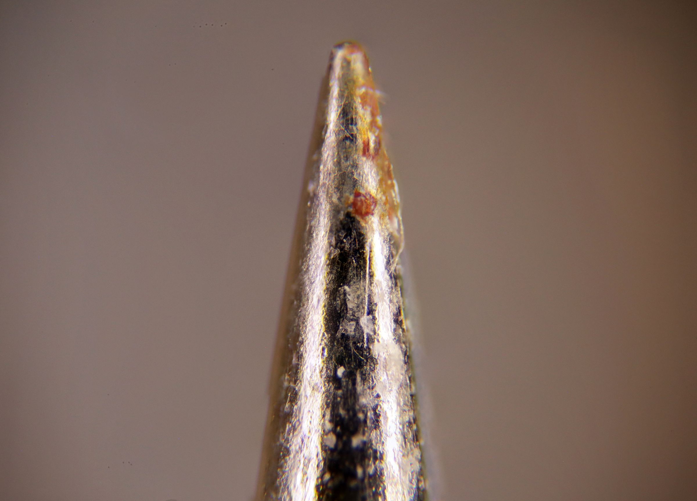 DSLR Microphotography : 12 Steps (with Pictures) - Instructables