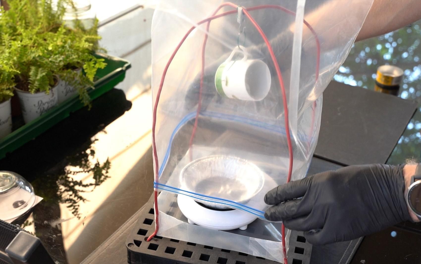 How to Lift Fingerprints: Cyanoacrylate (Super Glue) Fuming : 6 Steps ...