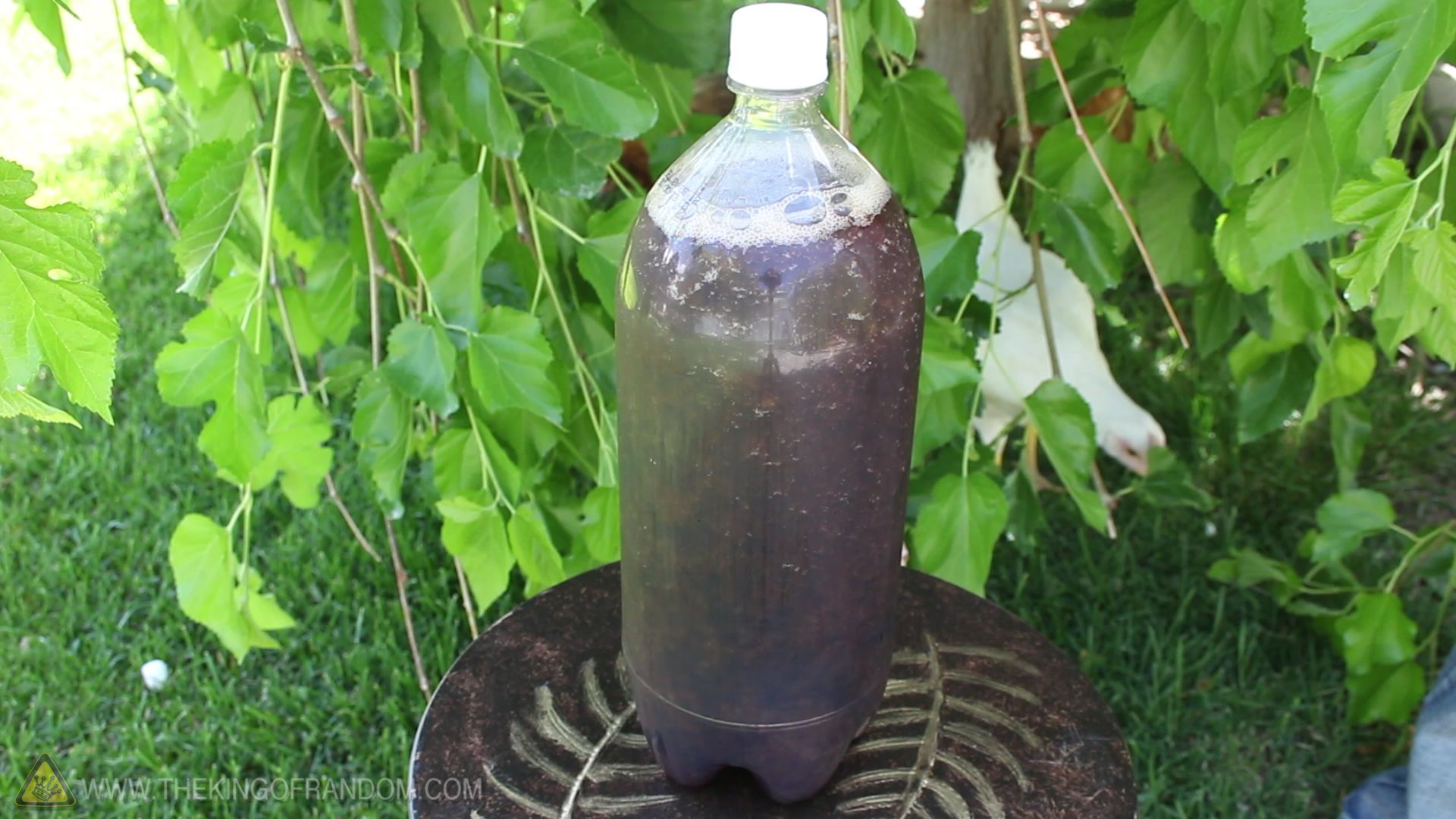 How to Make a Self Freezing Coca-Cola (Or Any Instant-Soda Slurpee) : 6 ...