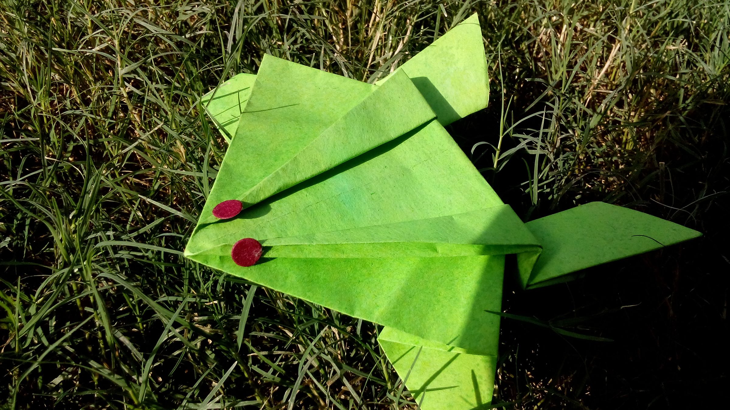 DIY Jumping Frog in 3 Minutes : 6 Steps - Instructables