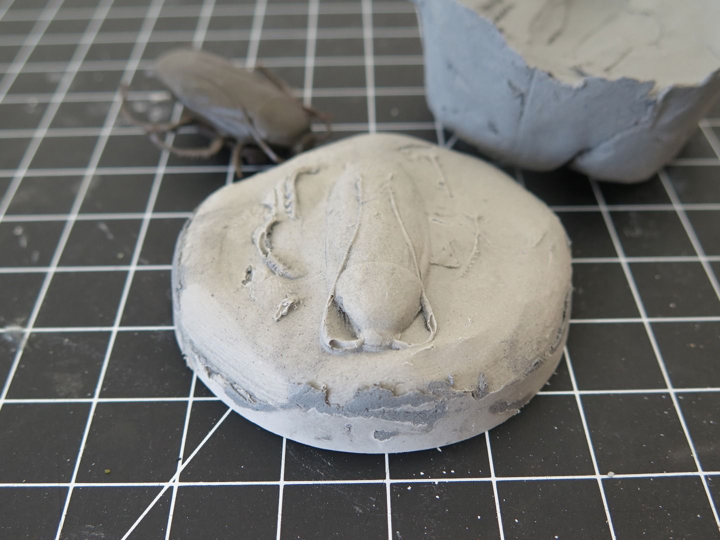Homemade Fossils! : 5 Steps (with Pictures) - Instructables