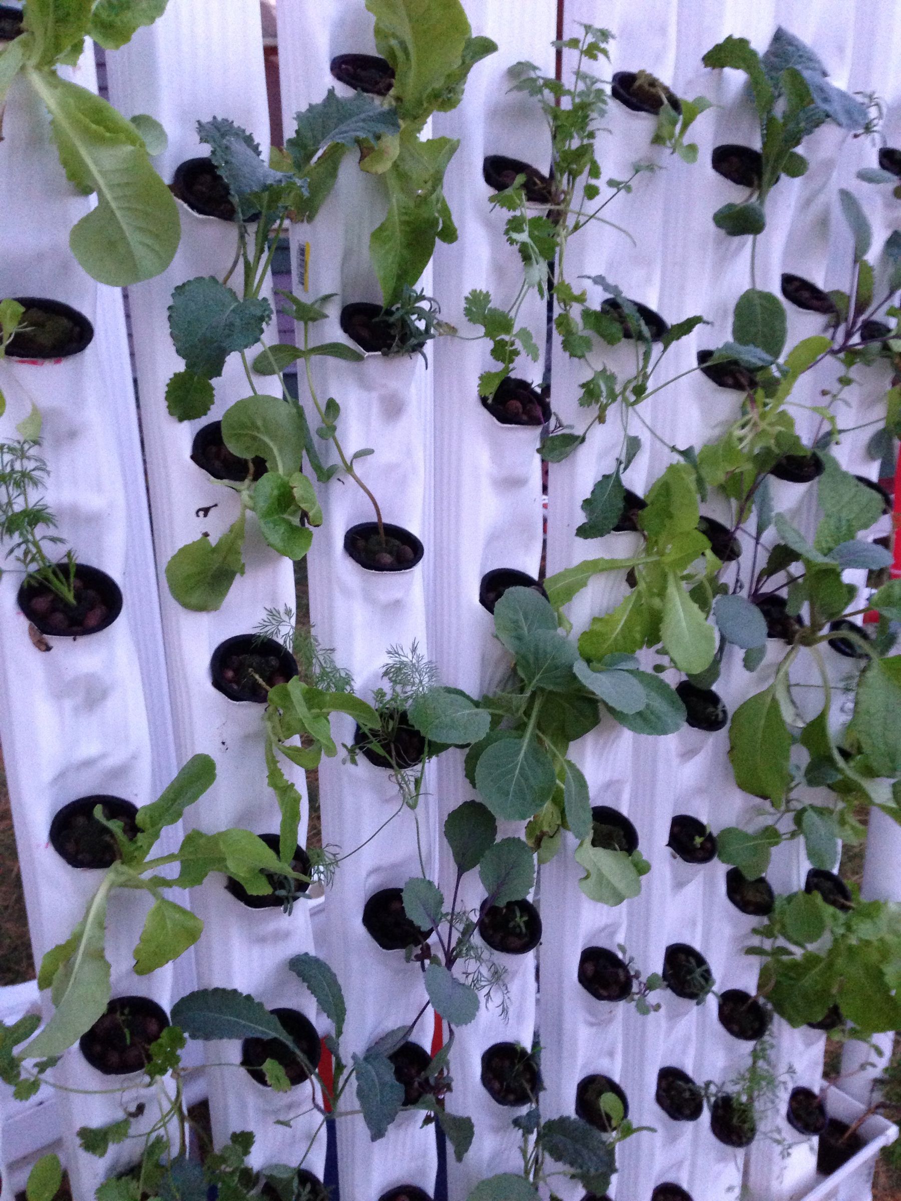 Vertical Hydroponic Farm : 13 Steps (with Pictures) - Instructables
