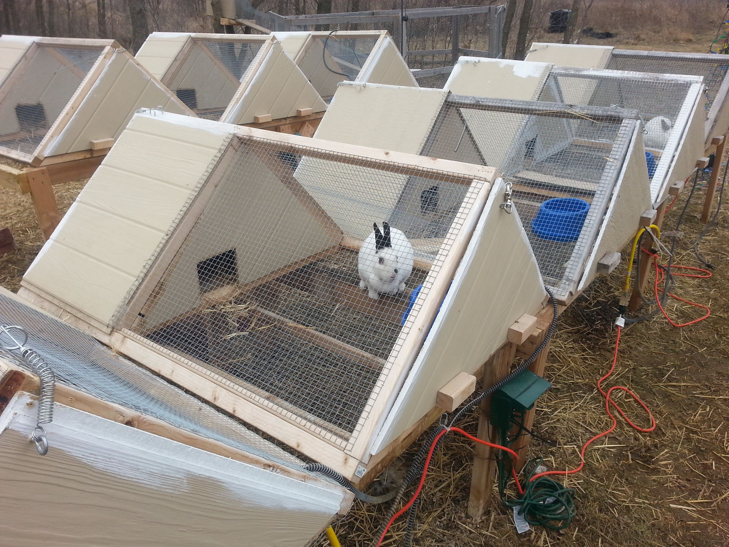 Super Great A-frame Rabbit Hutch! : 6 Steps (with Pictures) - Instructables