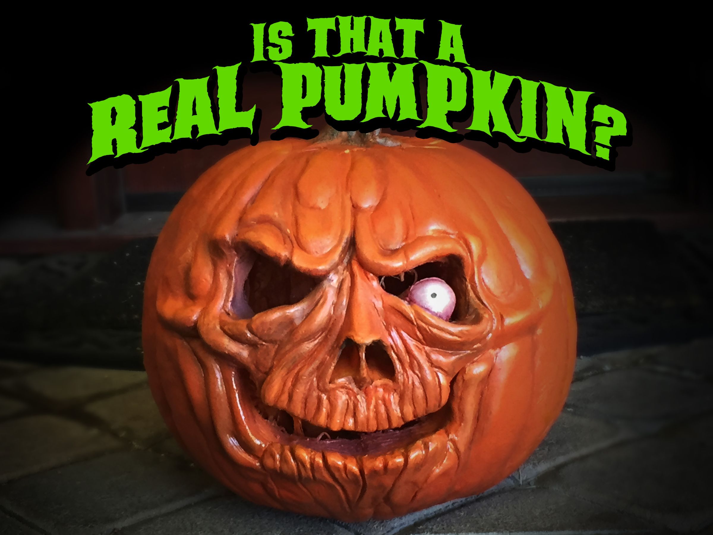 Is That a REAL Pumpkin??? Yes, It Is! : 6 Steps (with Pictures ...