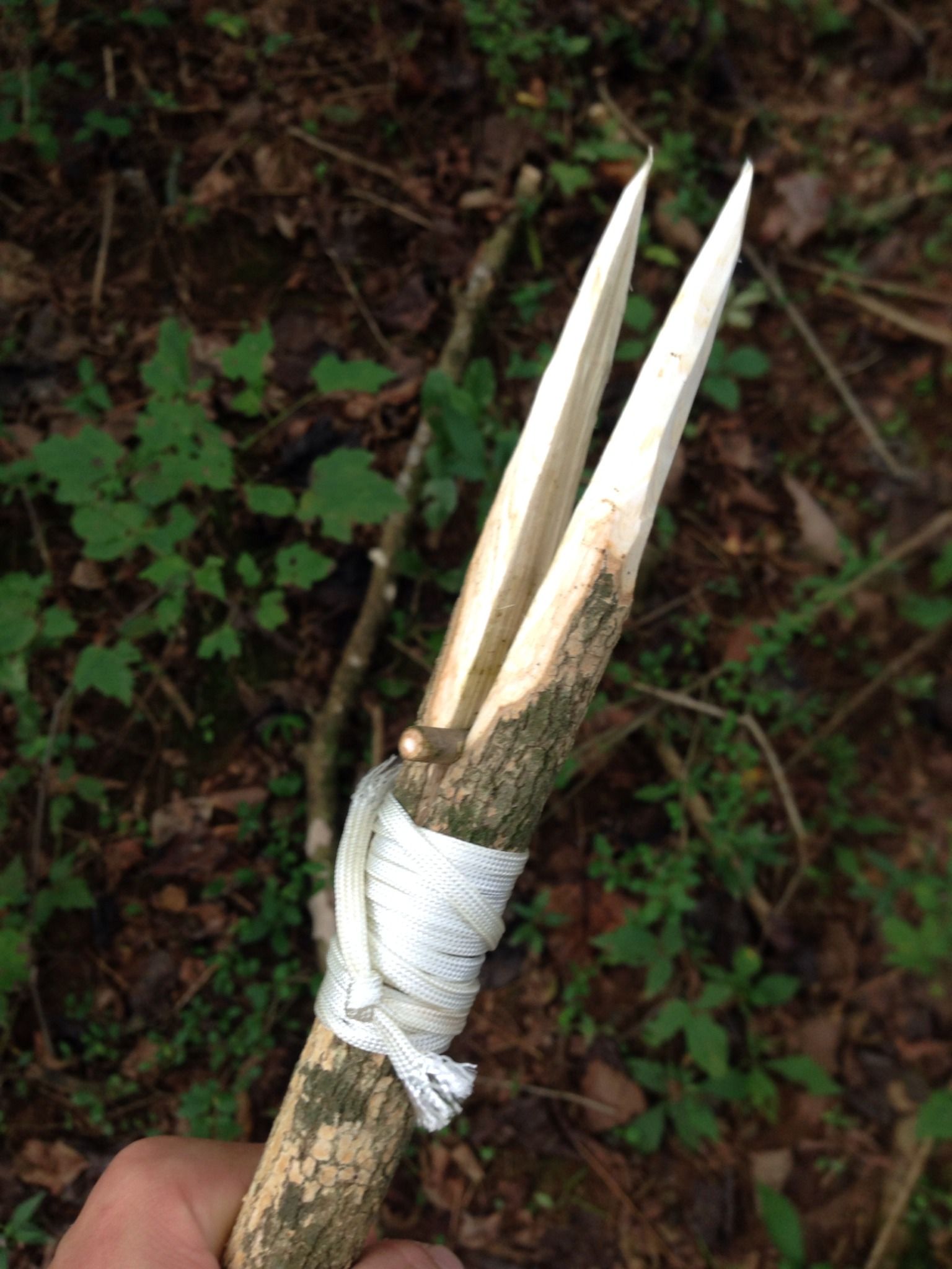 Two-Pronged Hunting Spear : 5 Steps (with Pictures) - Instructables