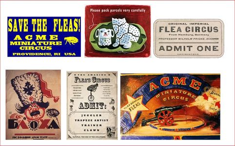 Make Your Own Flea Circus : 15 Steps (with Pictures) - Instructables
