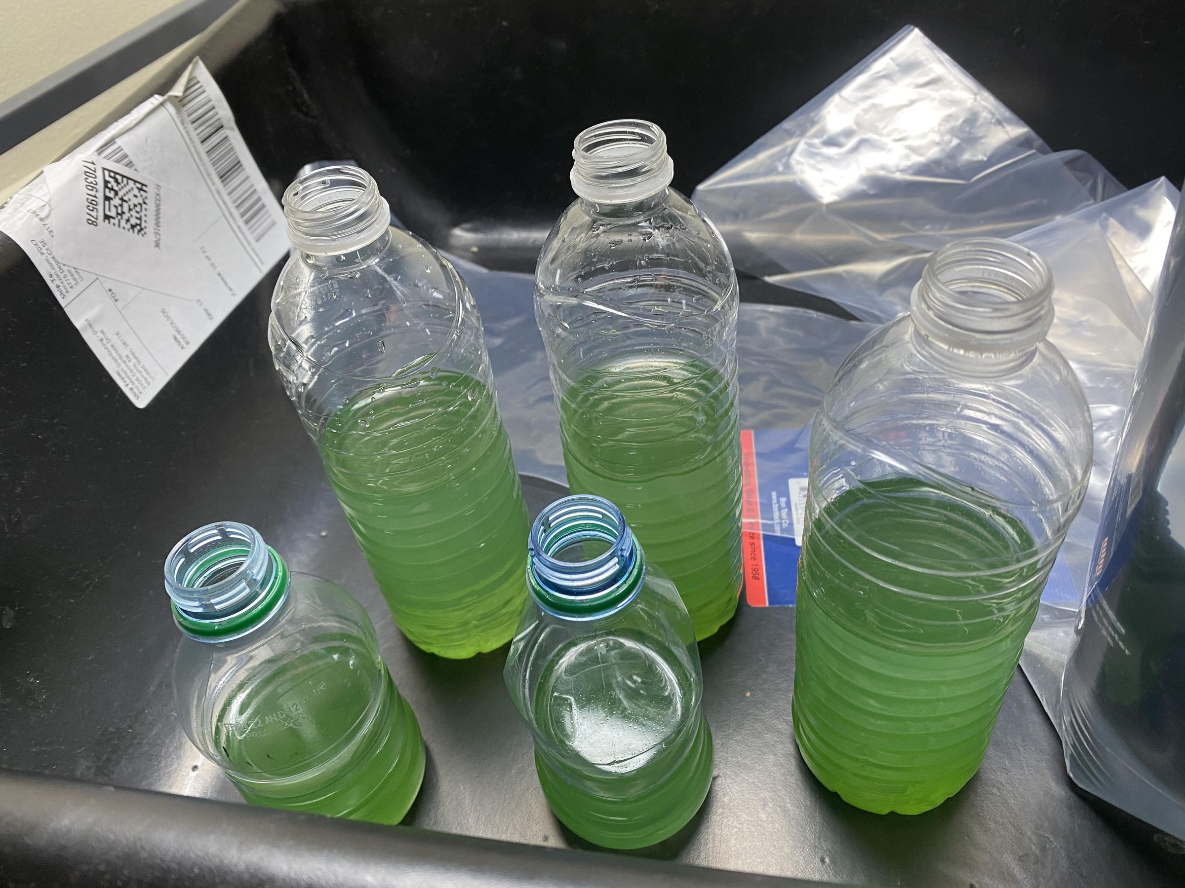 DIY Proof-of-concept Spirulina Photobioreactor to Reduce CO2 Emissions ...