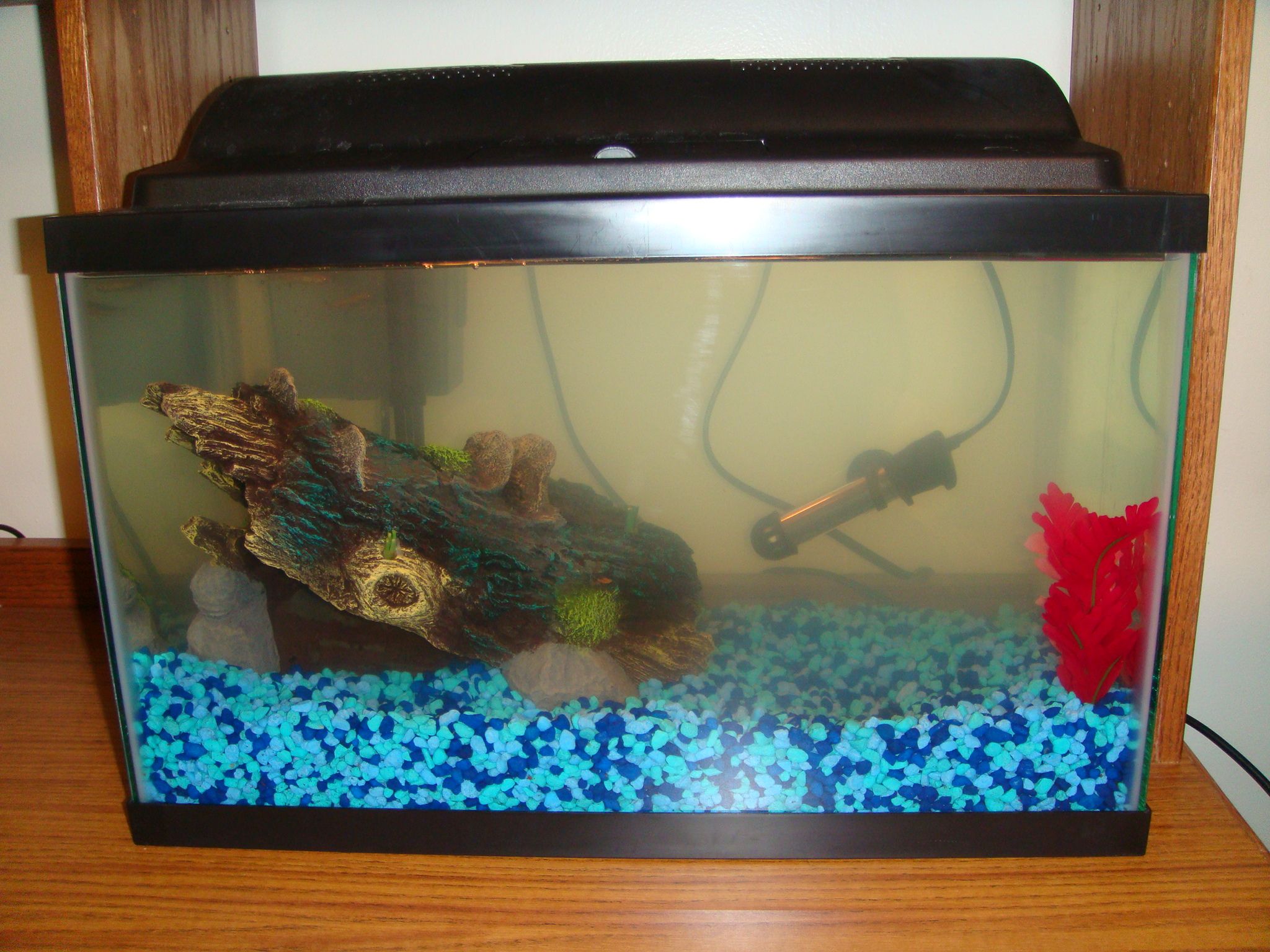 Dirty Tank? Let's Clean It Up! : 10 Steps - Instructables