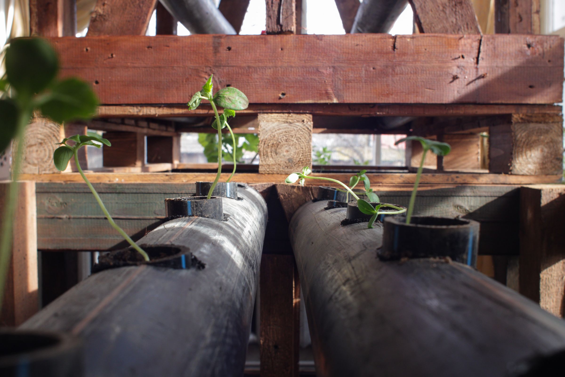 Cube Farm: a Modular, Open Source, Agriculture Platform : 9 Steps (with ...