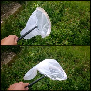 Insect Collection Case and Introduction to Entomology : 8 Steps (with ...