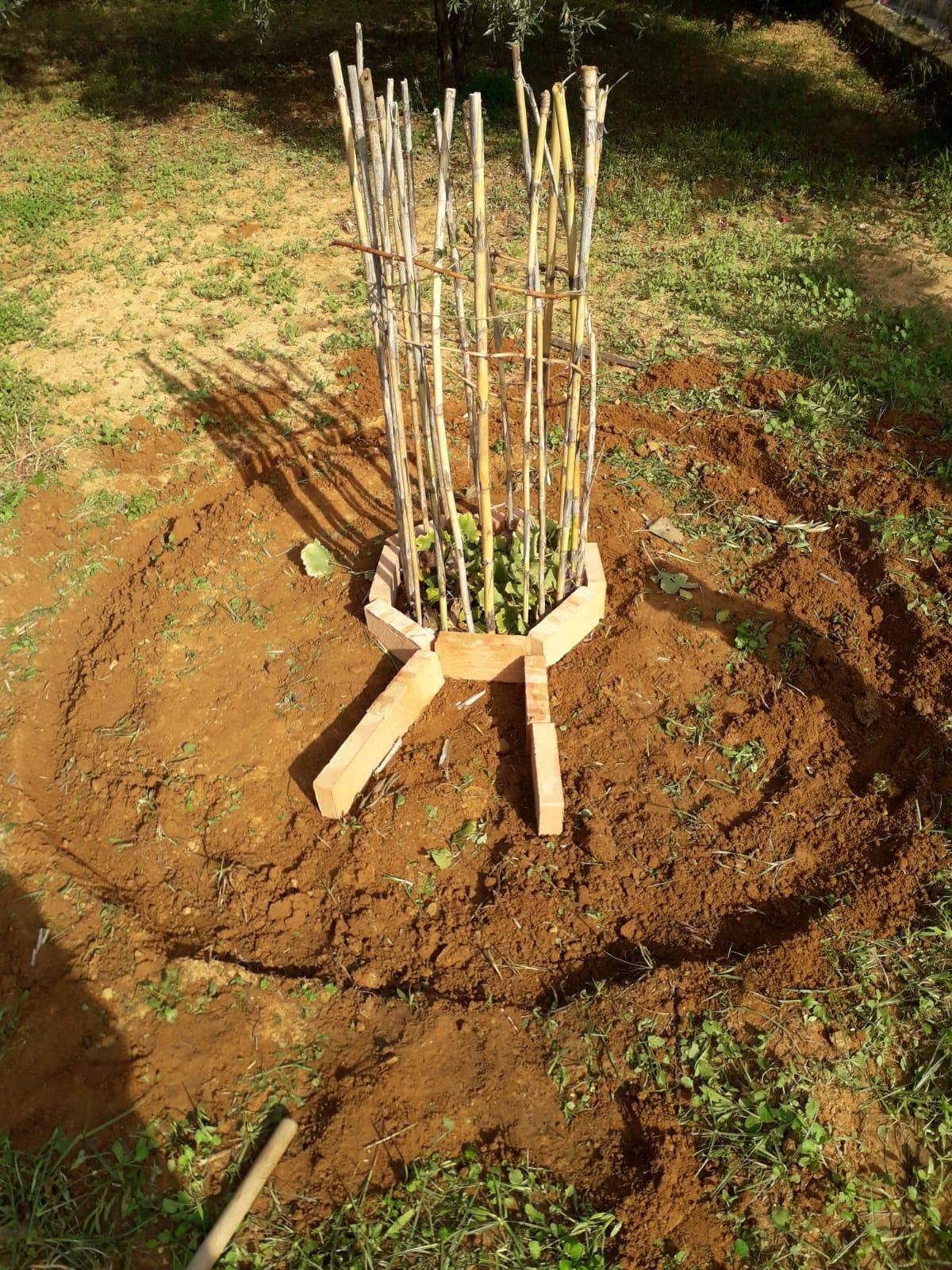 Keyhole Garden : 12 Steps (with Pictures) - Instructables