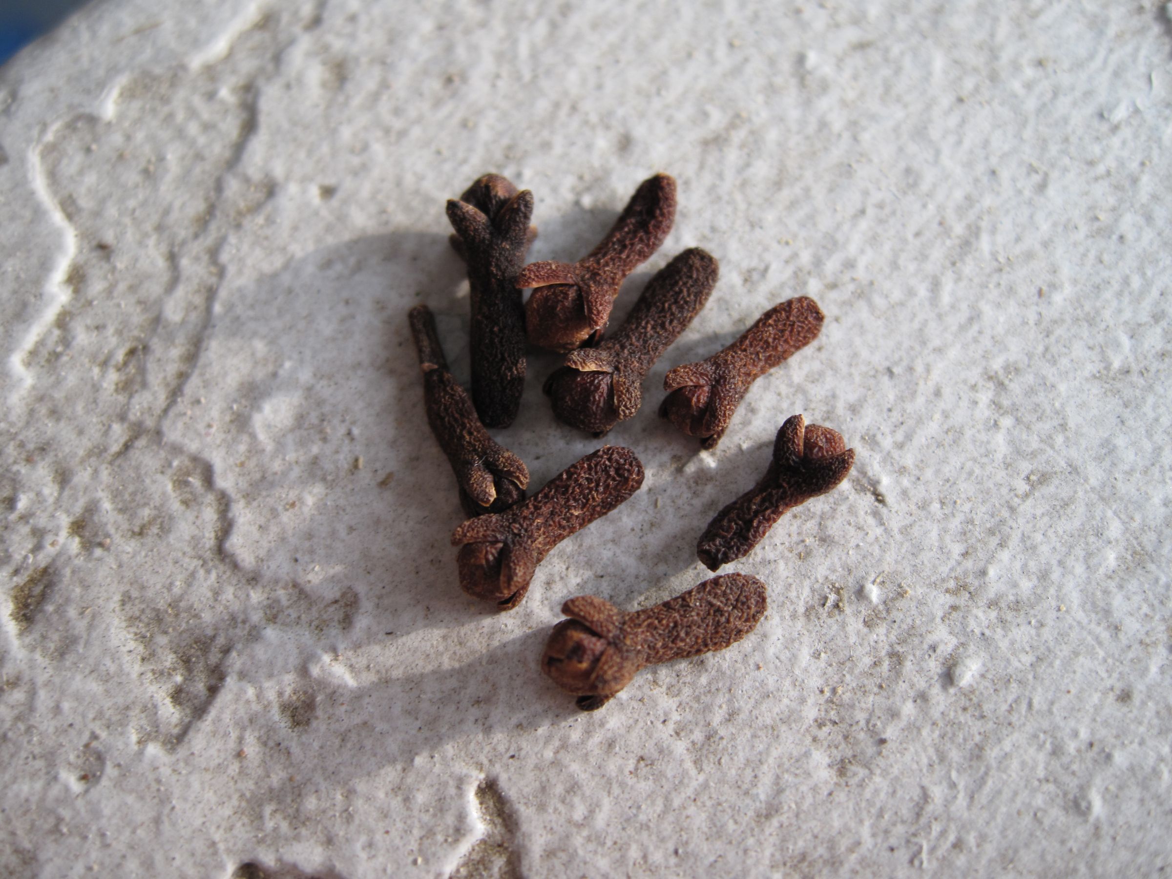 How to Use Herbs and Spices in Cooking : 25 Steps (with Pictures ...