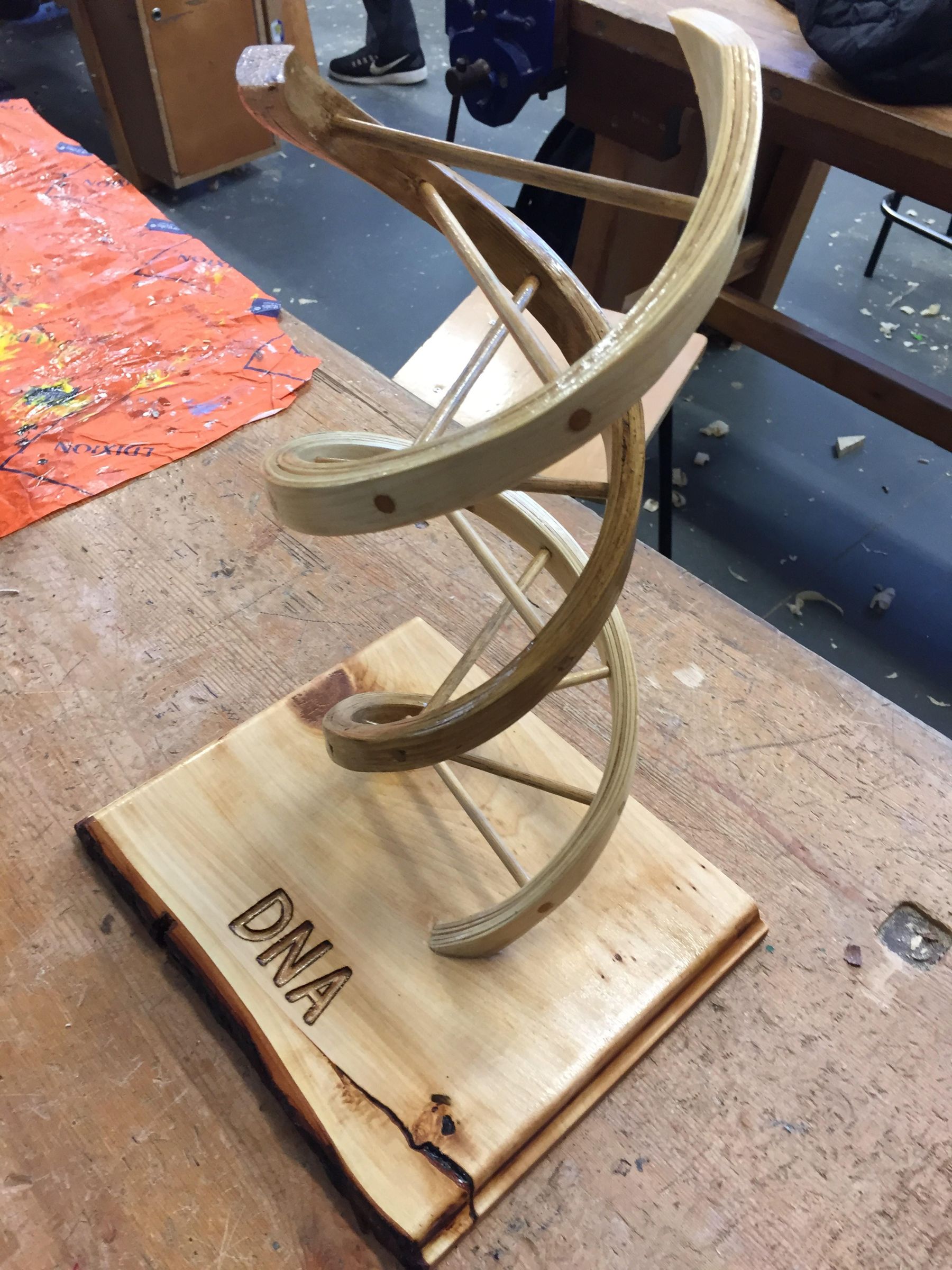 Laminated Plywood DNA Model : 12 Steps (with Pictures) - Instructables