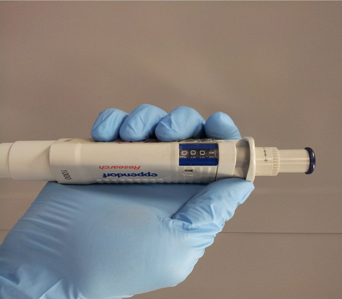 Evaluation for an APS/TEMED Aliquot in the SDS-PA Gel Protocol : 8 ...