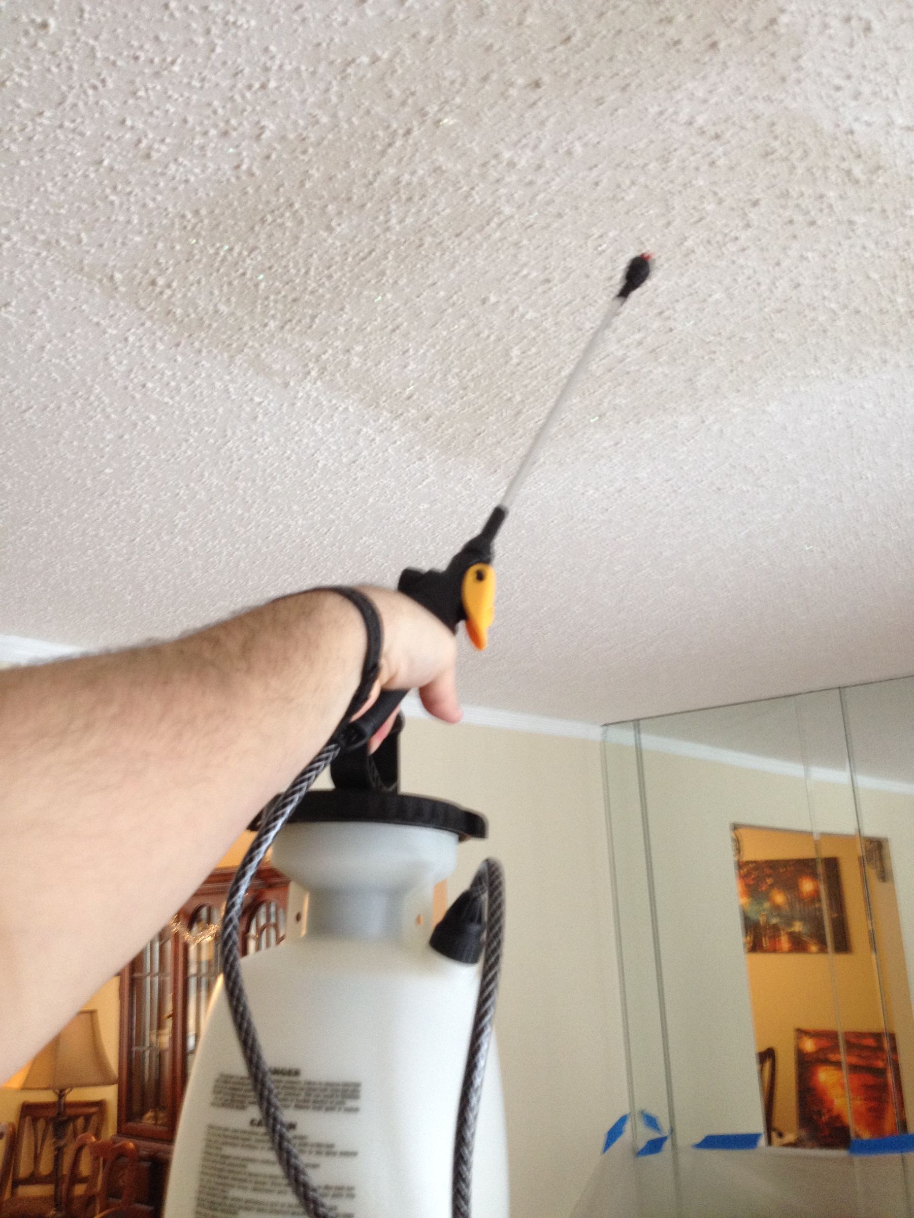 Removing Popcorn Ceilings! (with Pictures) - Instructables