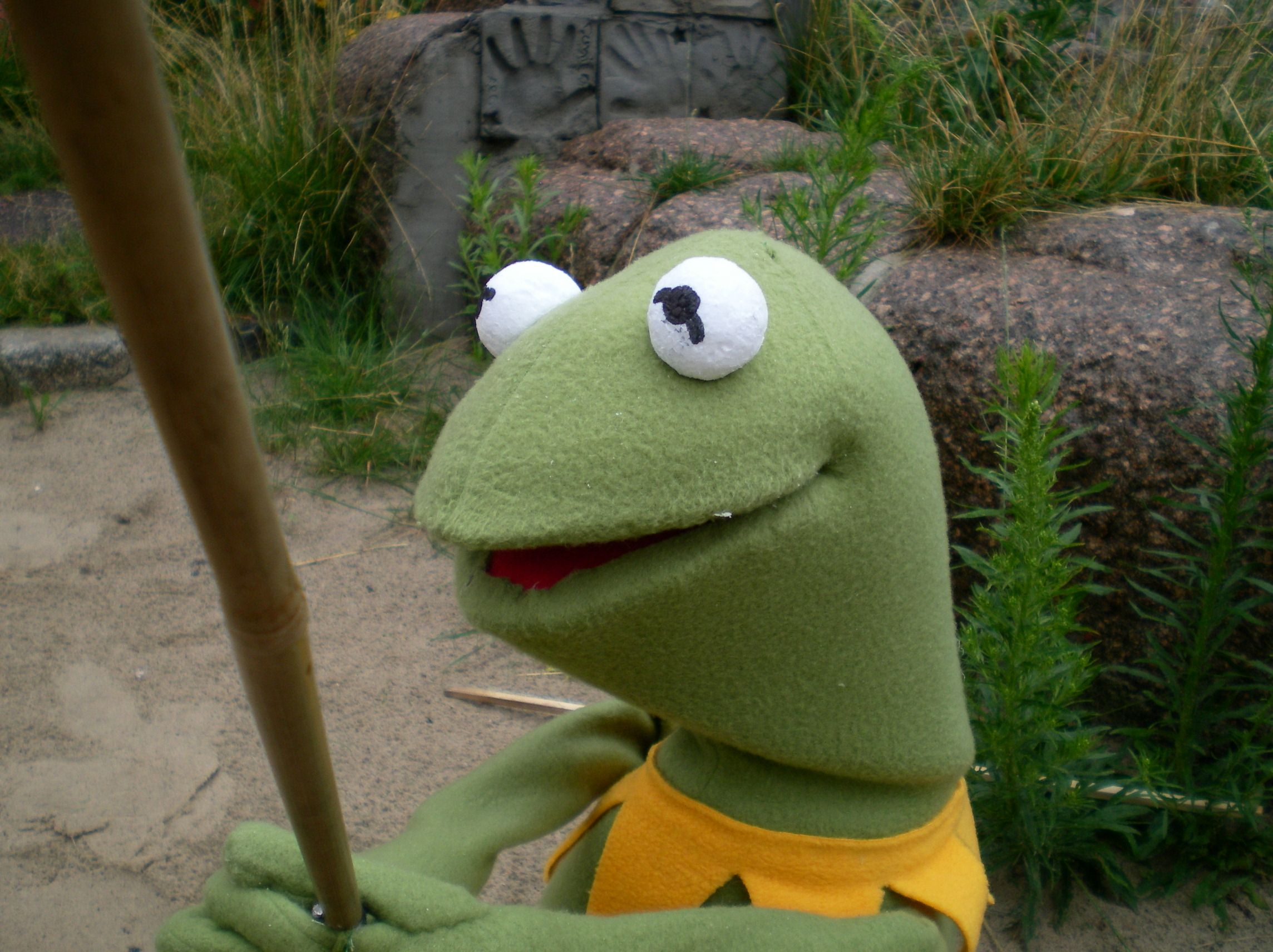 Kermit the Frog Clone : 10 Steps (with Pictures) - Instructables