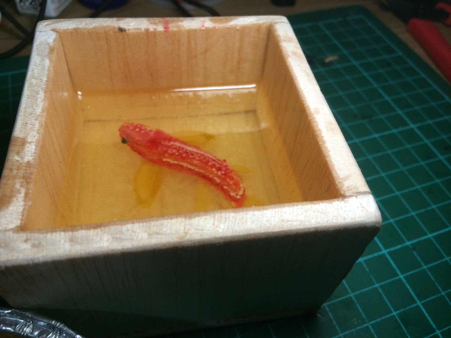 Paperweight Resin With 3d Fish Painting : 9 Steps (with Pictures ...