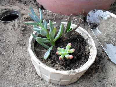 Easy Garden Key Hide : 6 Steps (with Pictures) - Instructables