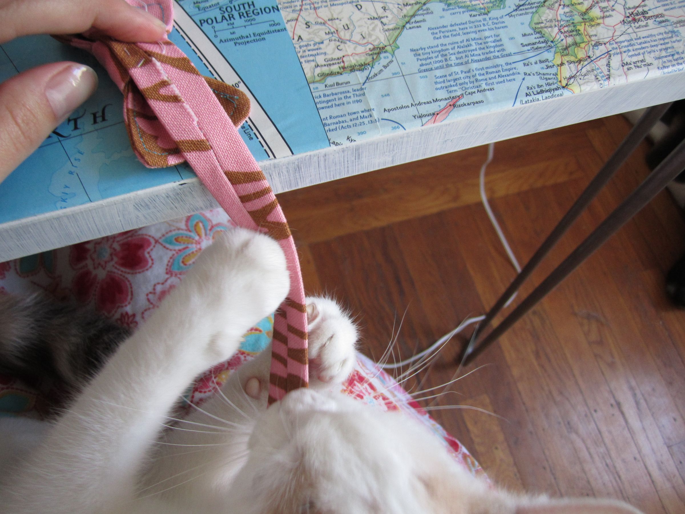 Cat Bow Tie + Pattern : 8 Steps (with Pictures) - Instructables
