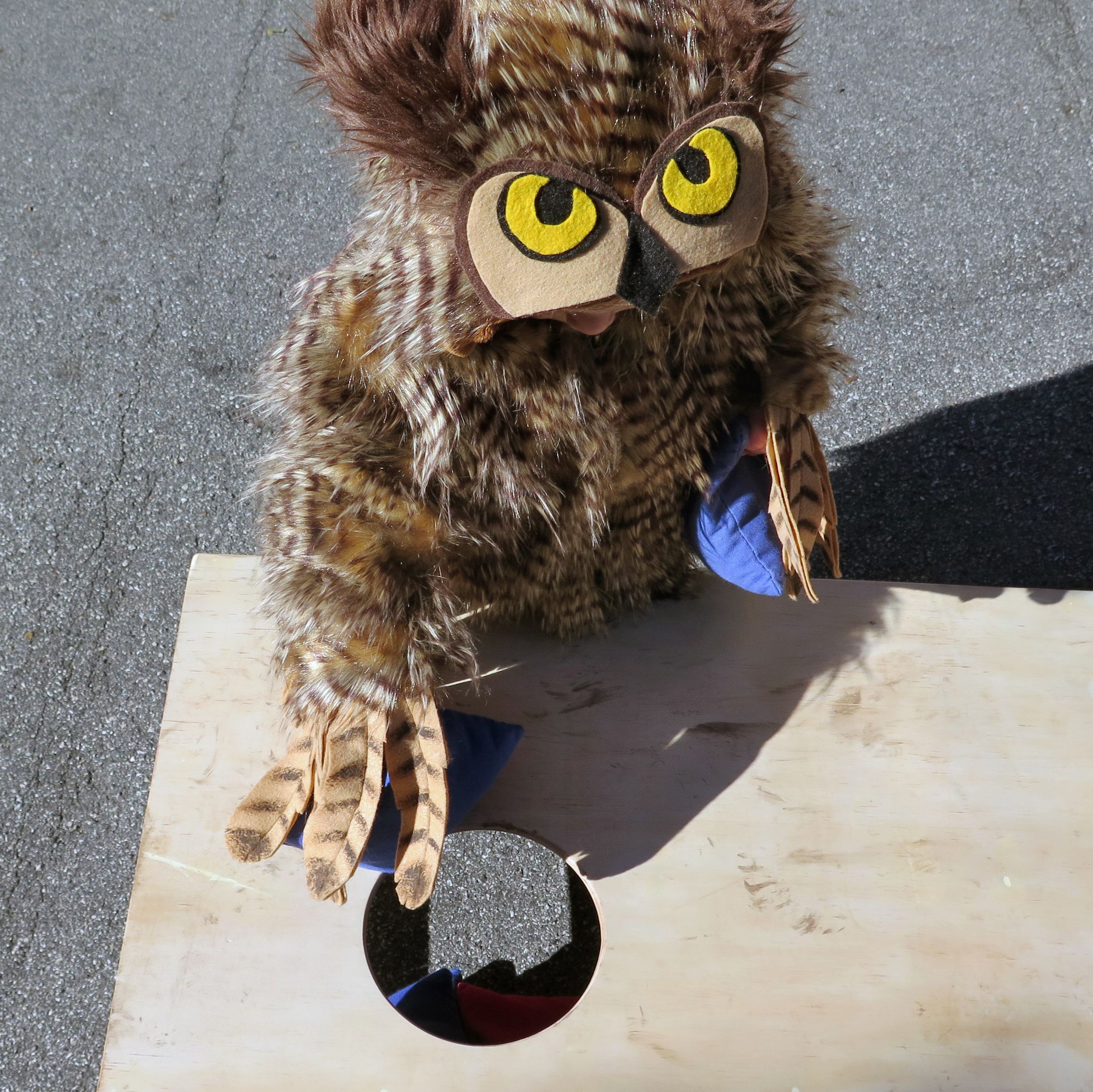 Make an Owl Costume : 13 Steps (with Pictures) - Instructables