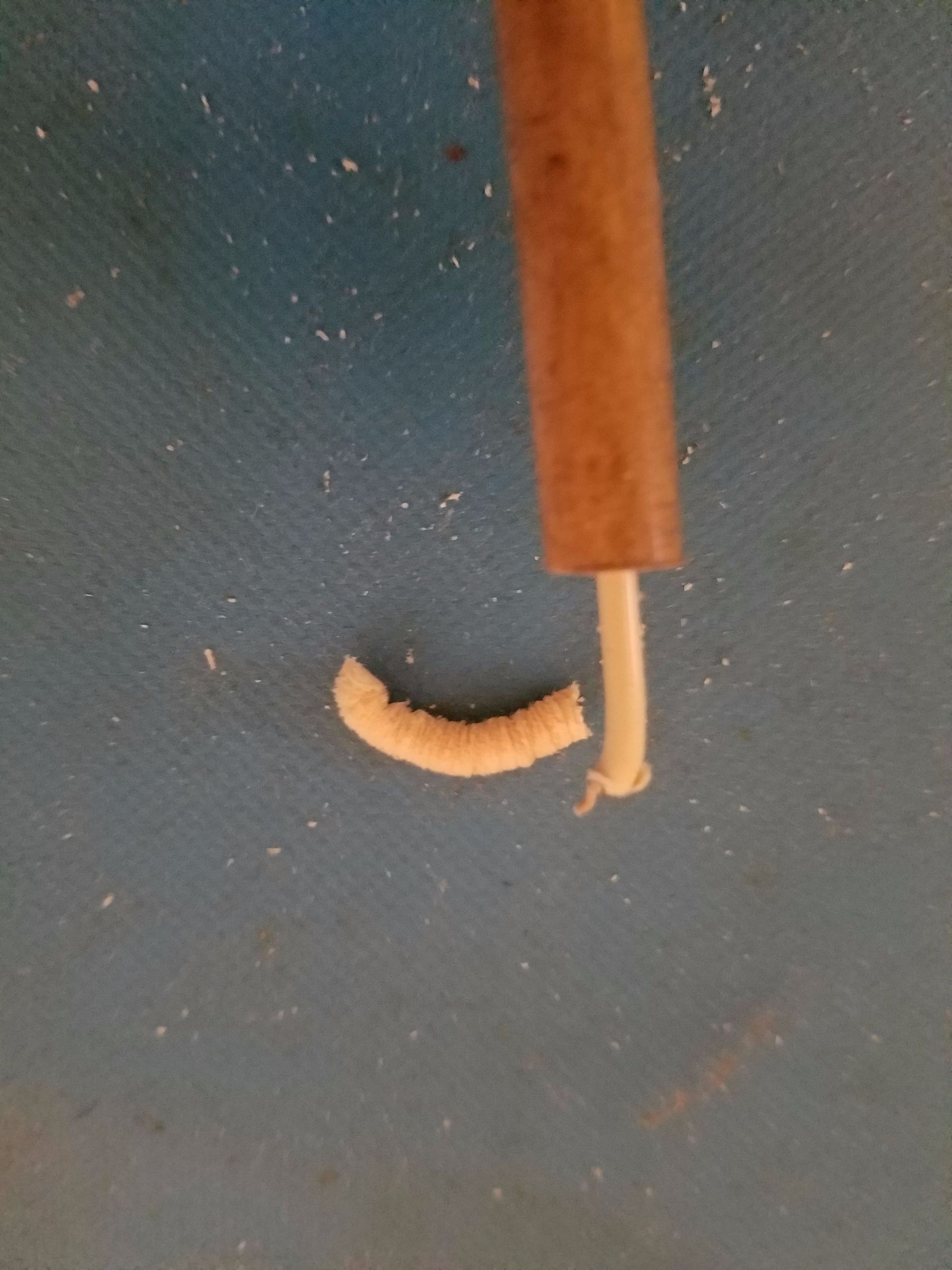 Make Your Own General MacArthur Tobacco Pipe : 10 Steps - Instructables