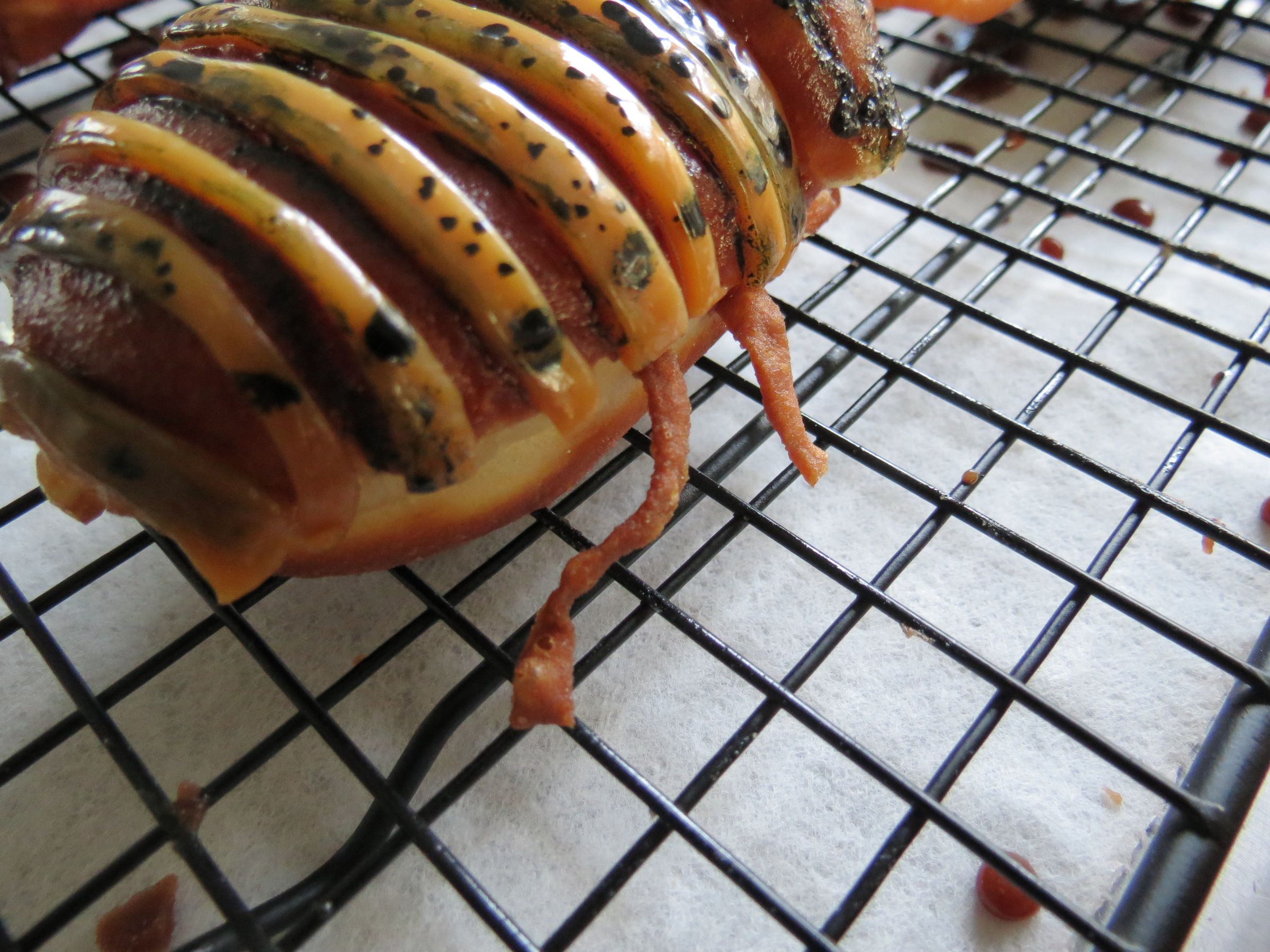 Cockroach Donuts (Boston Cream) : 9 Steps (with Pictures) - Instructables