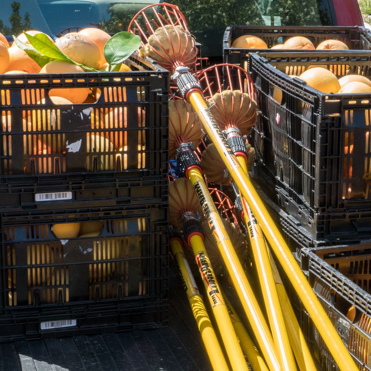 Low Cost and Easy to Make Fruit Picking Pole : 7 Steps (with Pictures ...