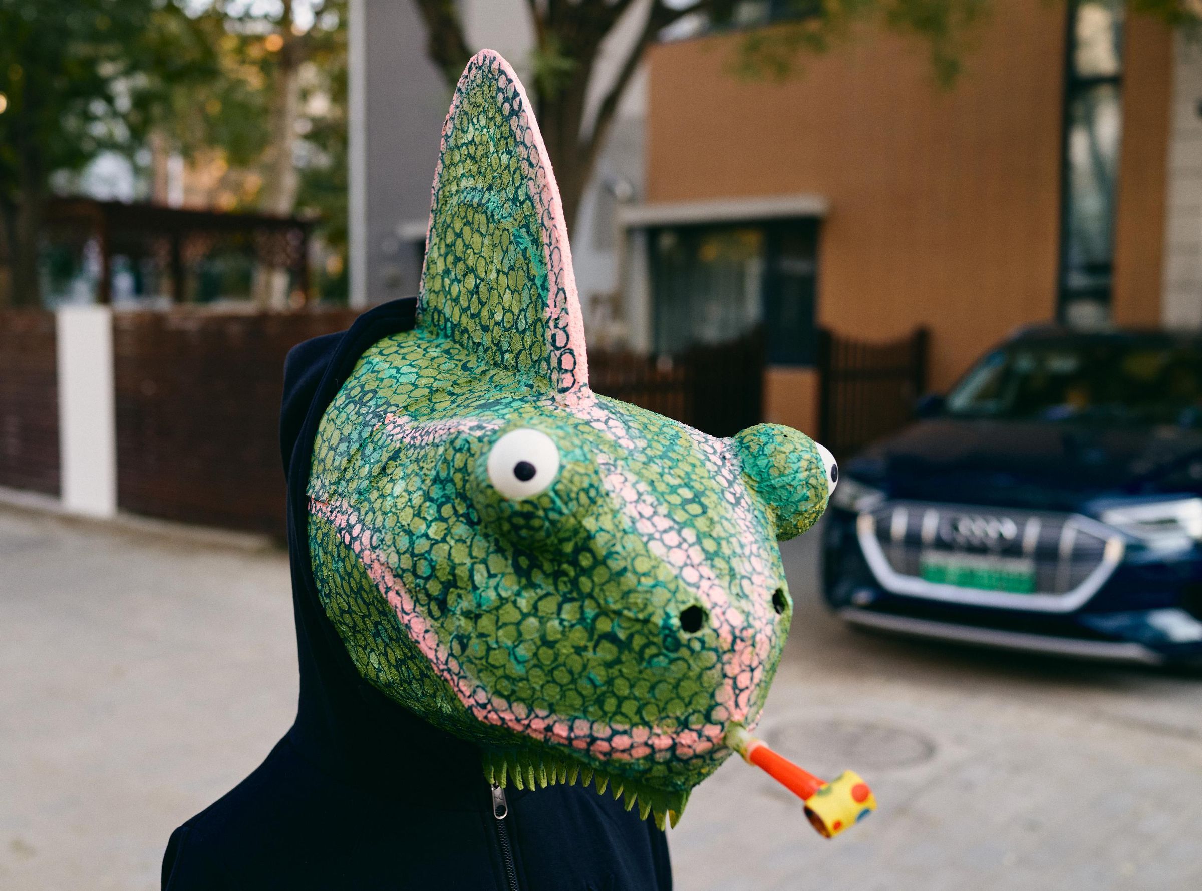 Chameleon Mask : 8 Steps (with Pictures) - Instructables