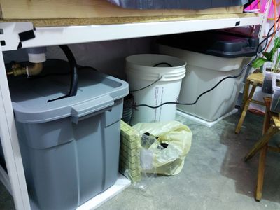 How to Build a Basement Hydroponic Garden : 20 Steps - Instructables