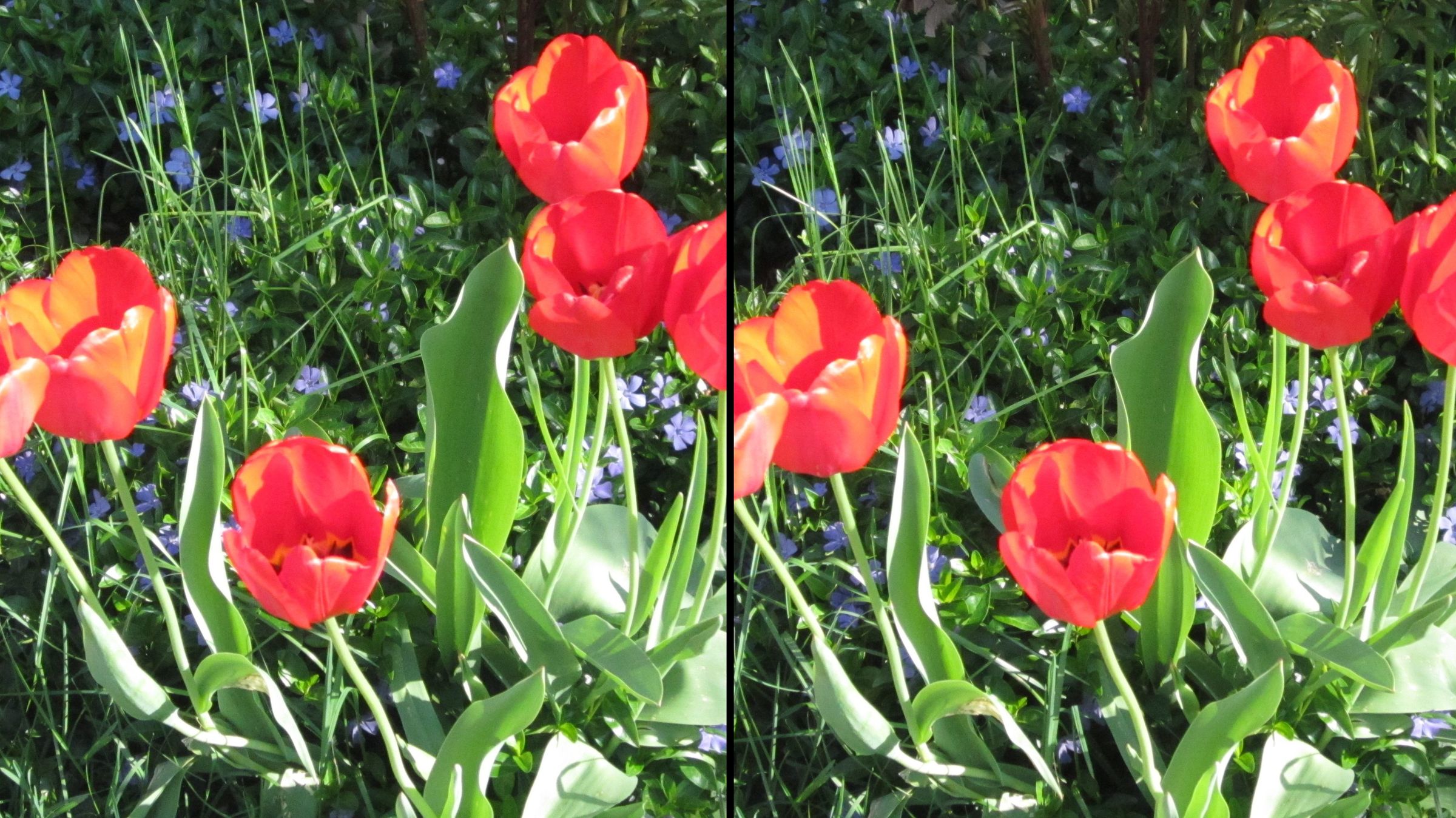 3D Stereoscopic Photography : 5 Steps (with Pictures) - Instructables