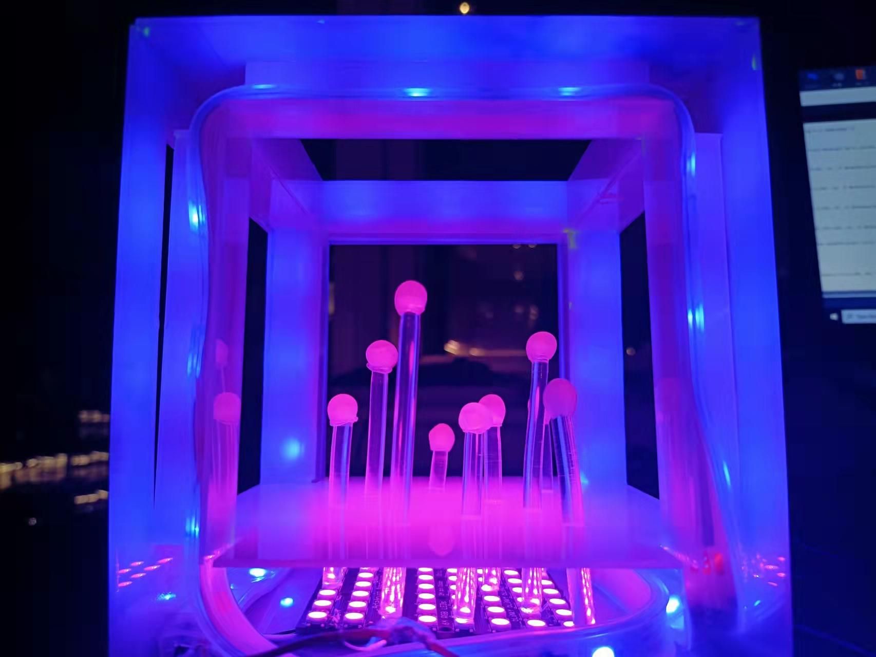 Mini Music Stage（Sound Visualization Device） : 7 Steps (with Pictures ...