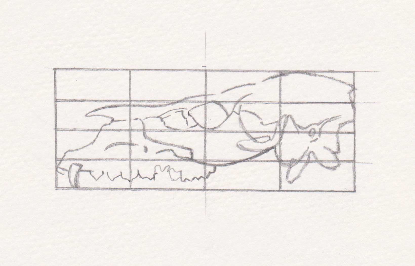 Drawing, Grid Method : 5 Steps (with Pictures) - Instructables