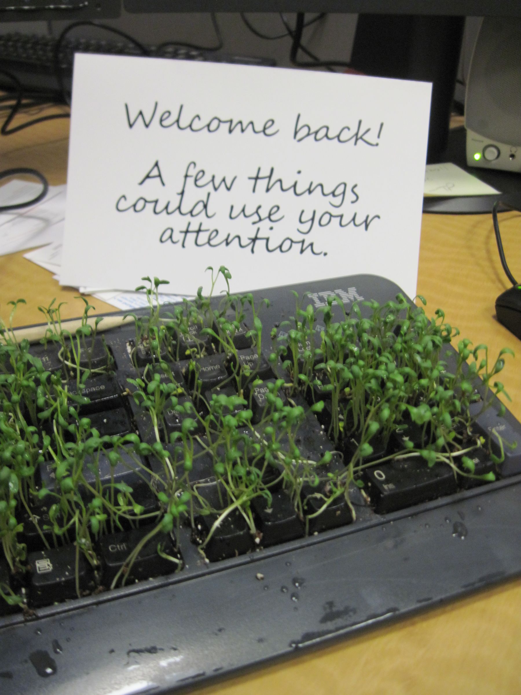 Grow a Keyboard : 10 Steps (with Pictures) - Instructables