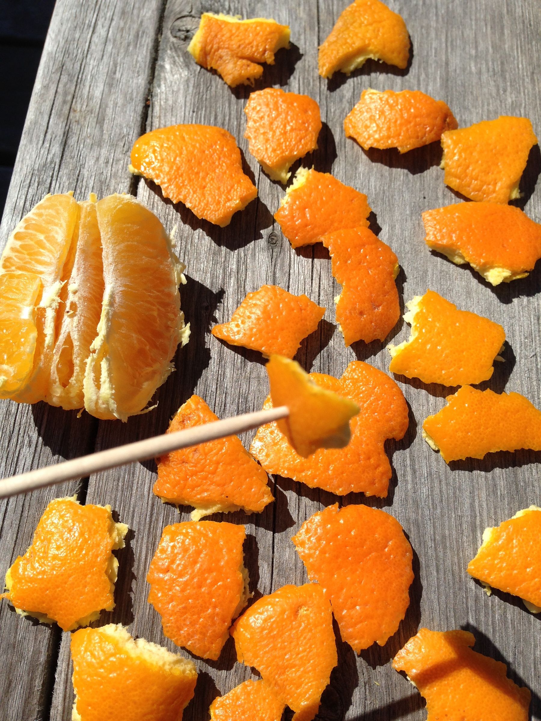 Orange Peel Skewers : 4 Steps (with Pictures) - Instructables
