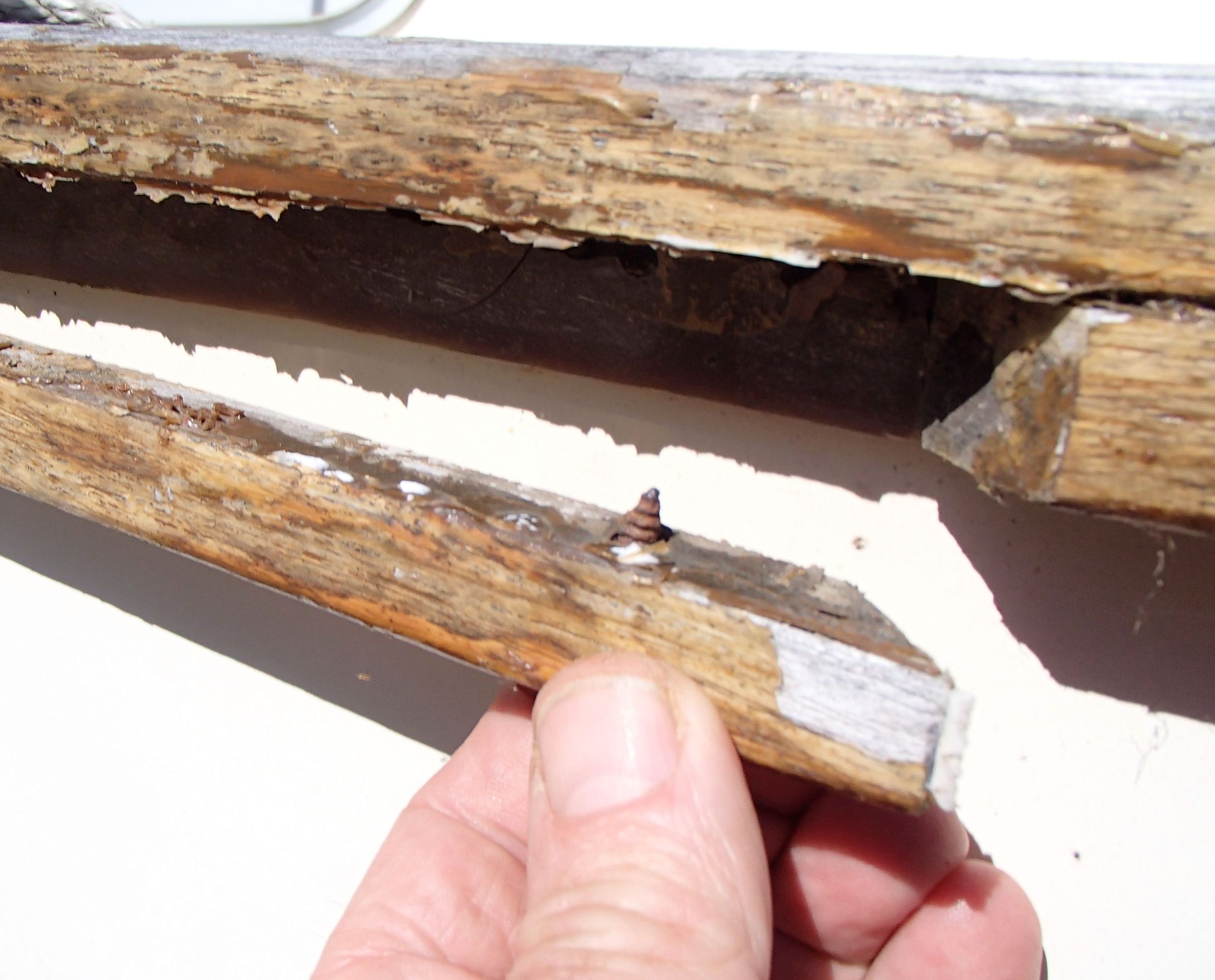 Repair the Cap Rail on a Sailboat : 4 Steps (with Pictures) - Instructables