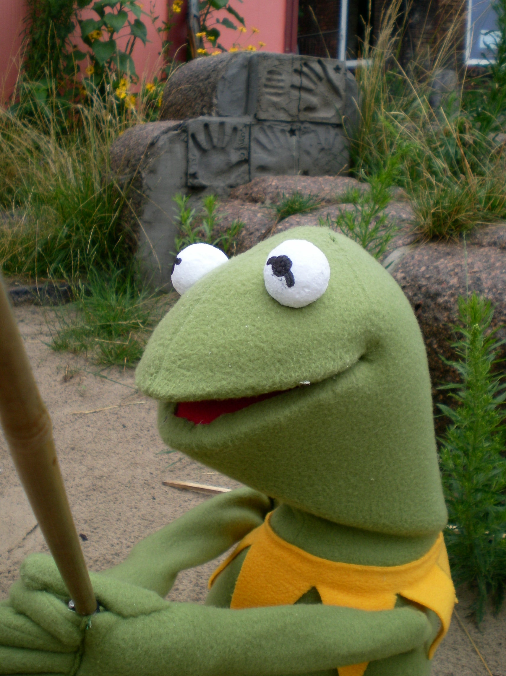 Kermit The Frog Clone 10 Steps With Pictures Instructables