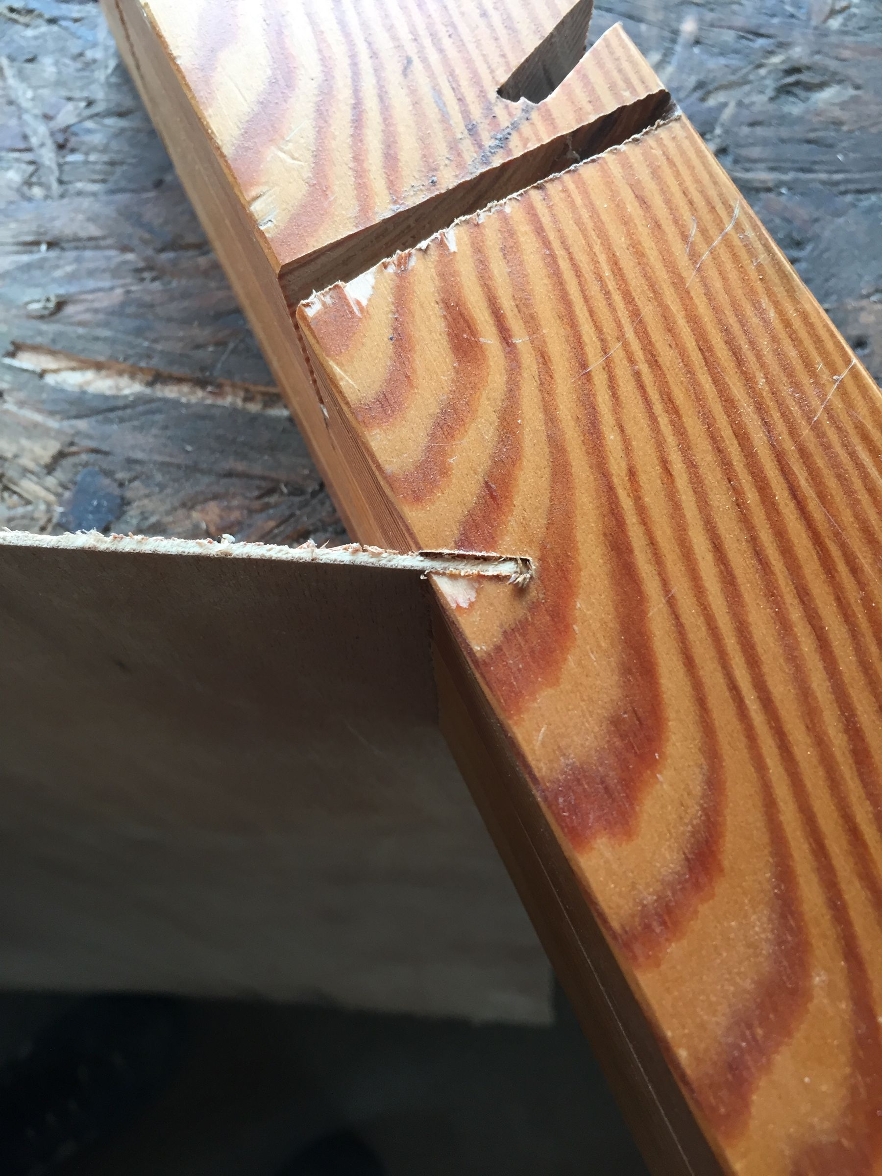 Rainbow Sound Tree : 5 Steps (with Pictures) - Instructables