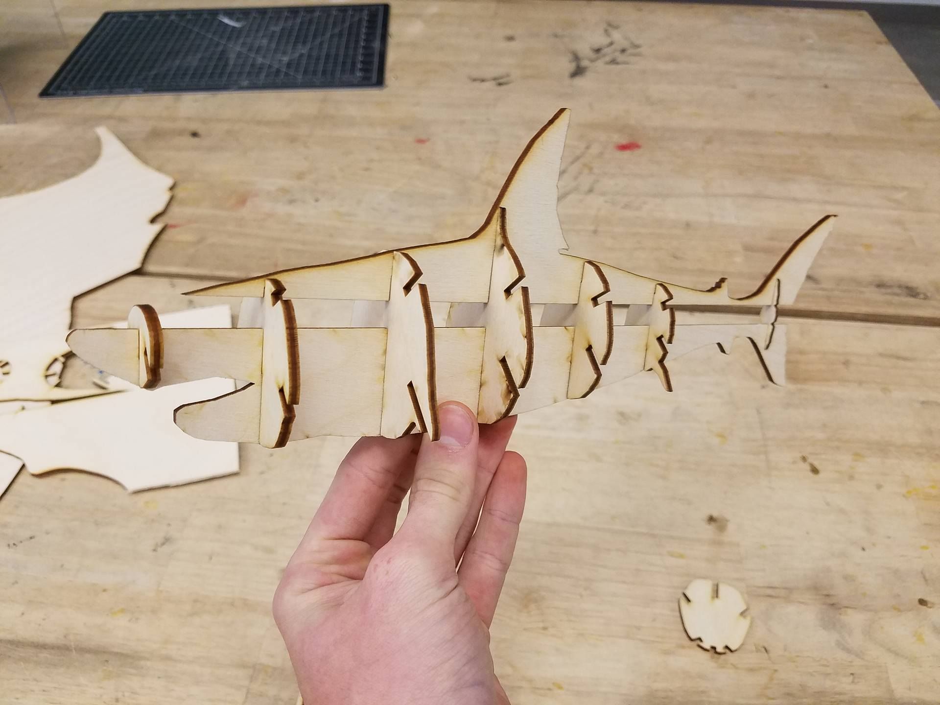Laser Cut Shark : 4 Steps (with Pictures) - Instructables
