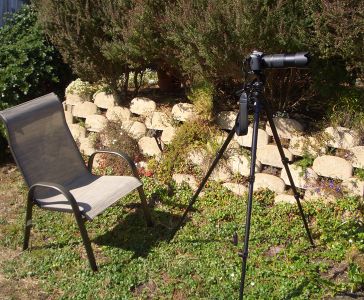 Backyard Bird Photography : 12 Steps (with Pictures) - Instructables