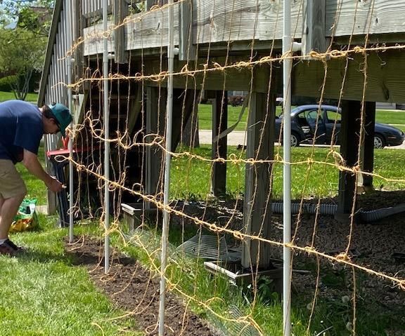 PVC Trellis Deck Garden : 3 Steps (with Pictures) - Instructables